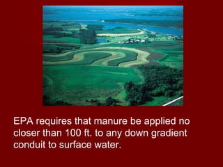 Effects of setback distance | PPT