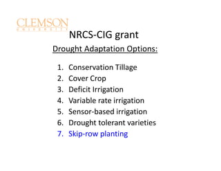 Effects of skip row planting on cotton - khalilian | PPT