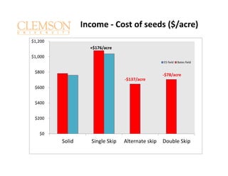 Effects of skip row planting on cotton - khalilian | PPT