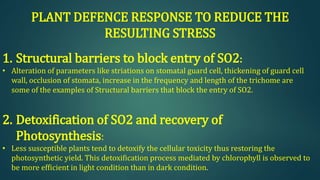 Effects of so2 on vegetation | PPTX