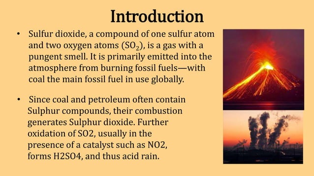Effects of so2 on vegetation | PPTX