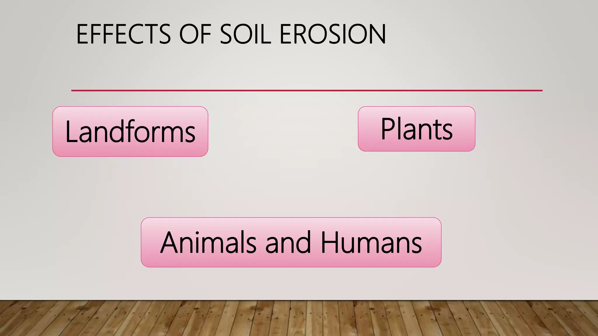 Effects of soil erosion | PPTX