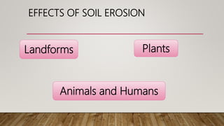 Effects of soil erosion | PPTX