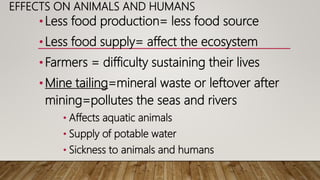 Soil Erosion By Animals