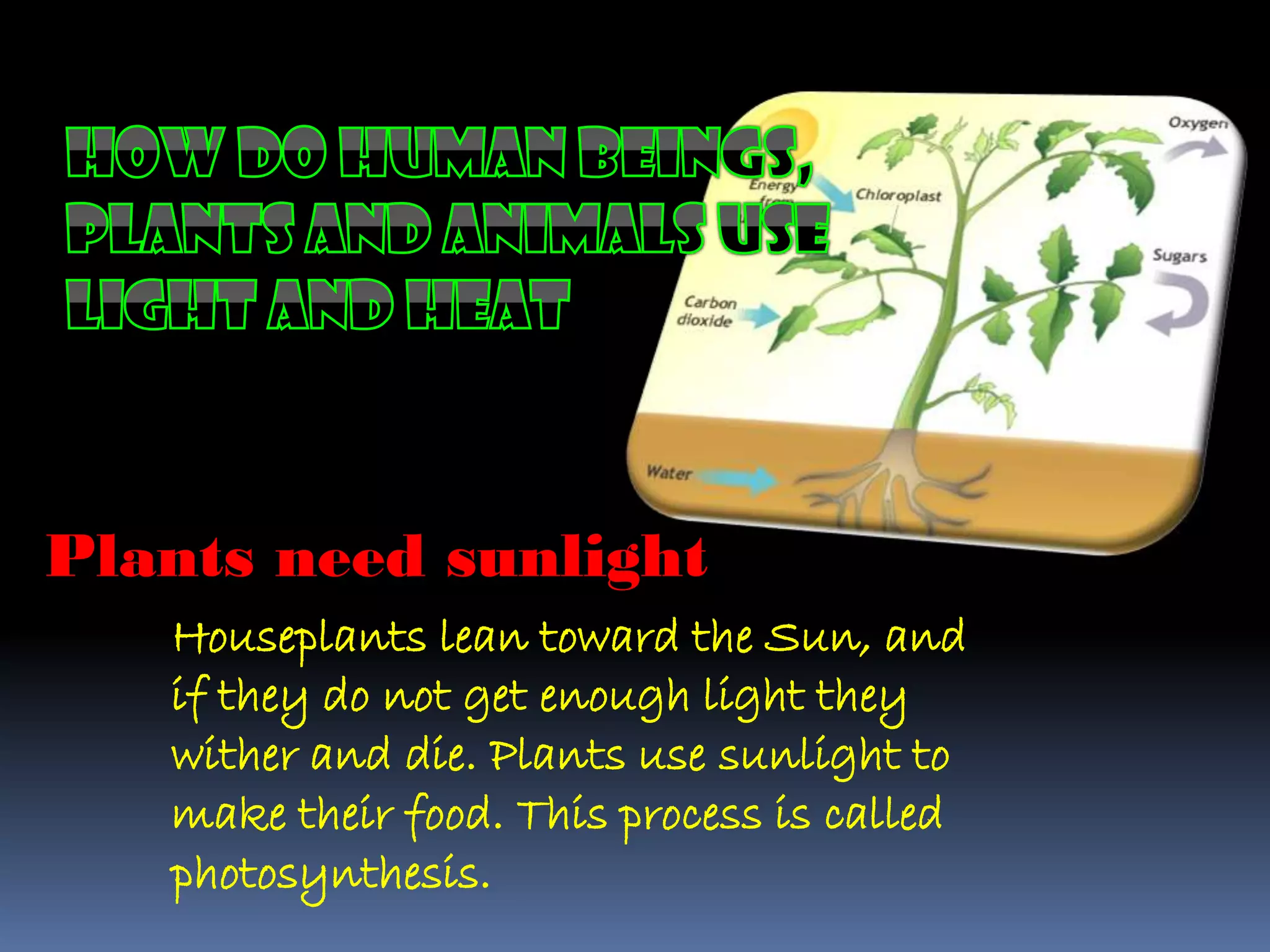 Effects of sun's heat and light | PPTX