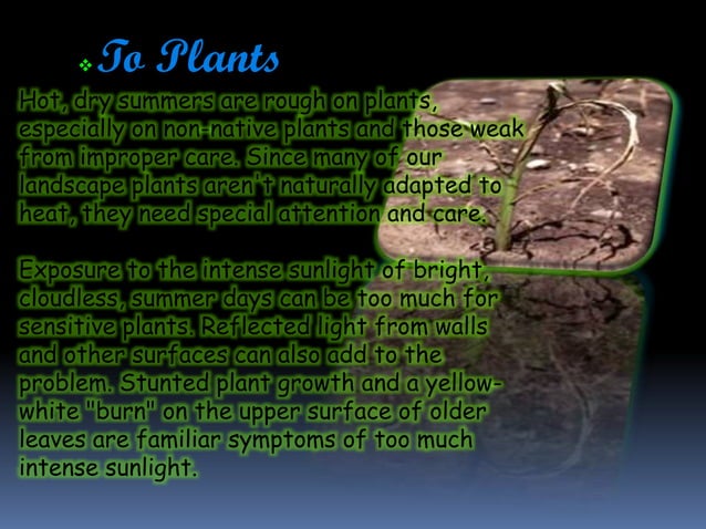 Effects of sun's heat and light | PPTX | Weather | Science