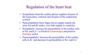 Effects of Sympathetic Stimulation 1.pptx