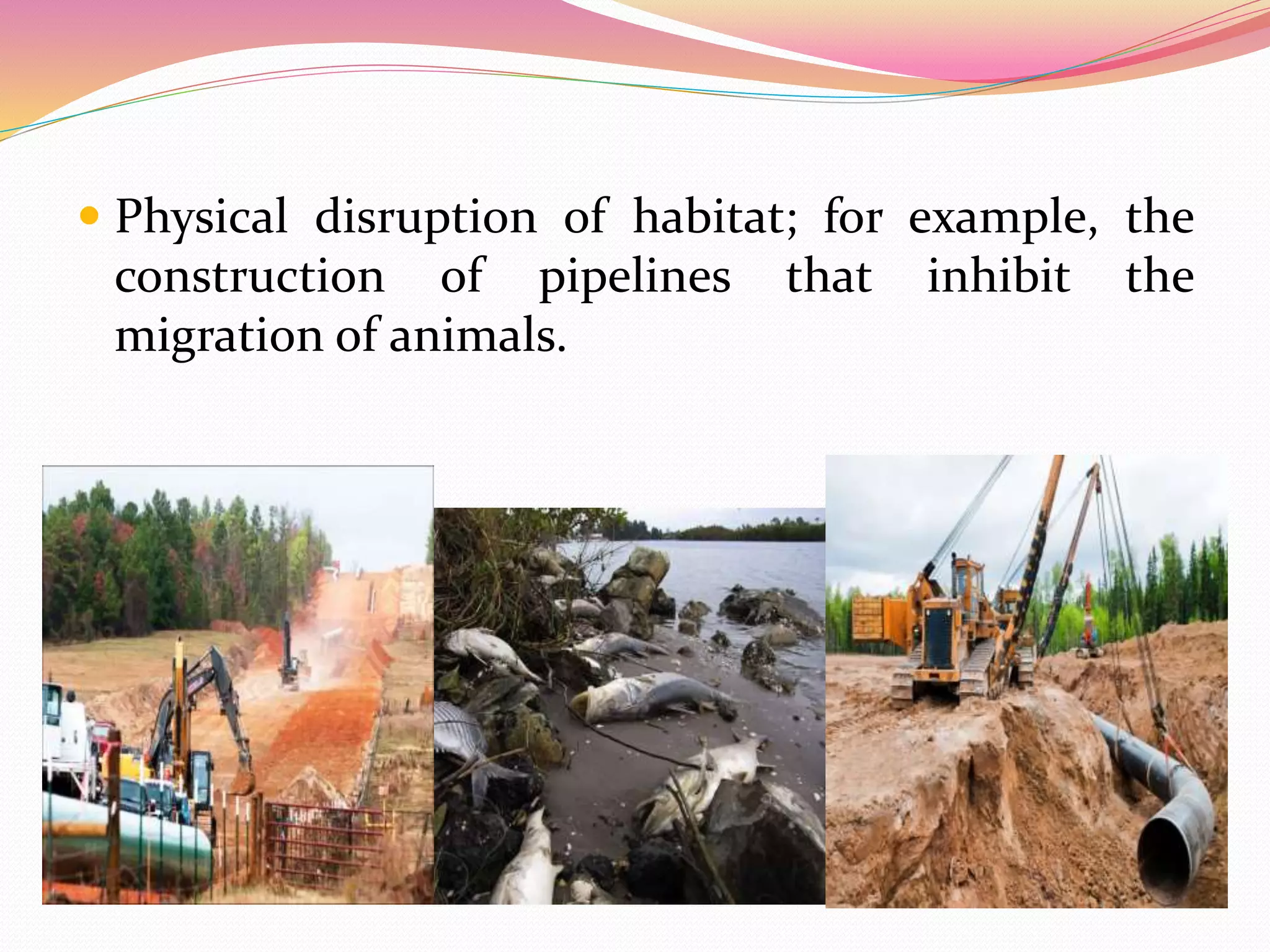 Effects of technology to environment | PPTX