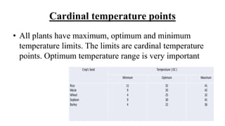 Effects of temperature on plants health | PPTX