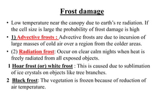 Effects of temperature on plants health | PPTX