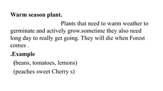 Effects of temperature on plants health | PPTX