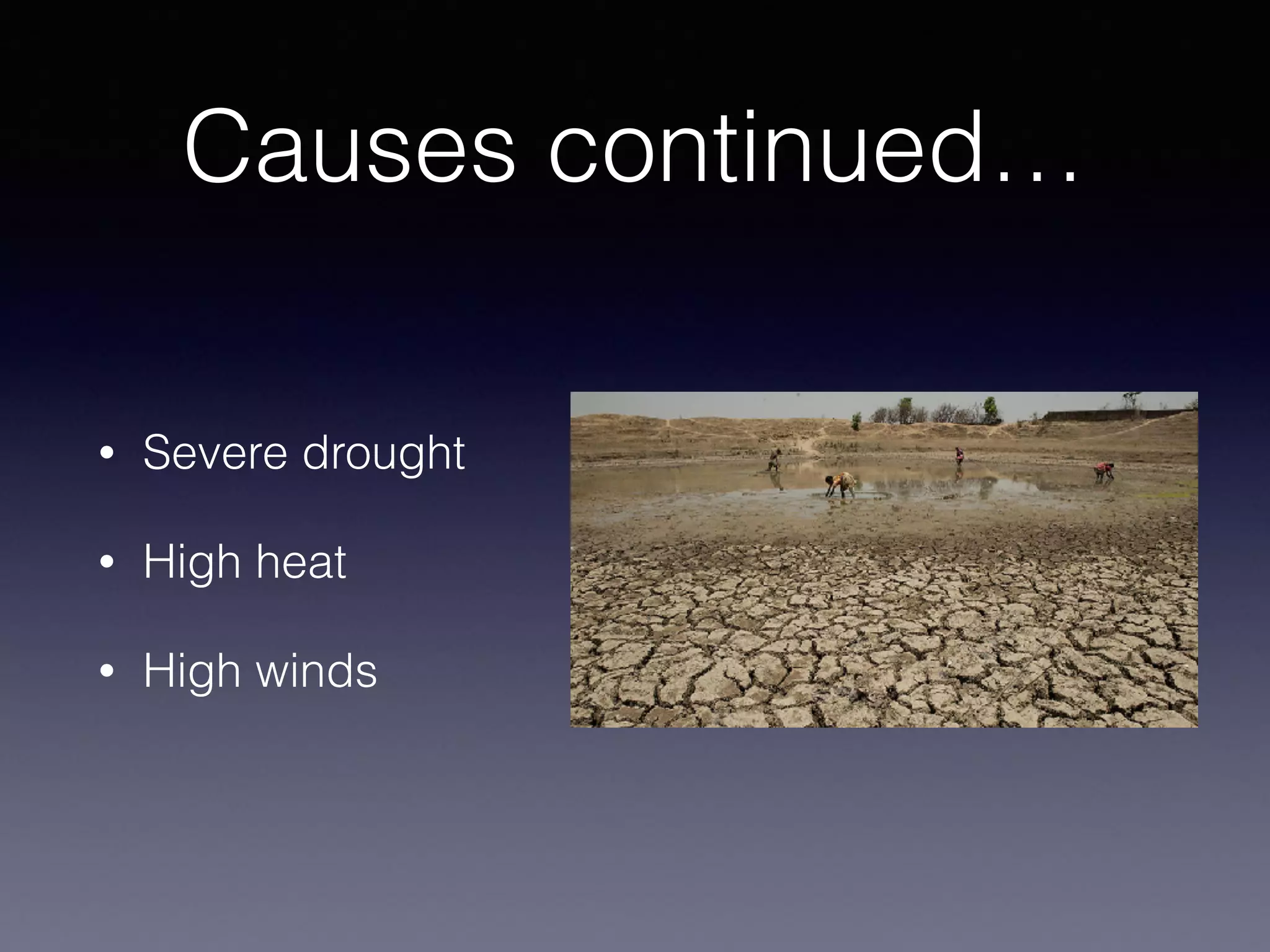 Effects of the dust bowl | PPT