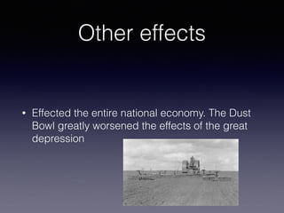 Effects of the dust bowl | PDF