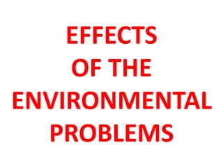 Effects of the Environmental Problems | PPTX
