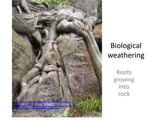 Effects of weathering and erosion | PPTX