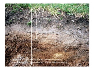 Effects of weathering and erosion | PPTX