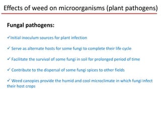 Effects of weeds on other organisms | PPT