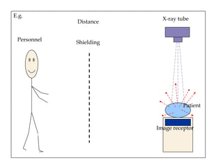 Effects of x ray | PPTX