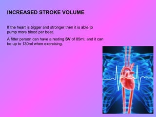 Effects on cardiovascular system | PPT