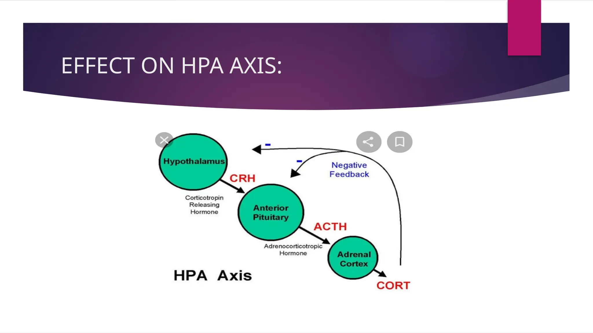 Effects on Endocrine System in performing yoga.pptx