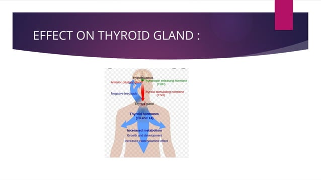 Effects on Endocrine System in performing yoga.pptx | Endocrine and ...
