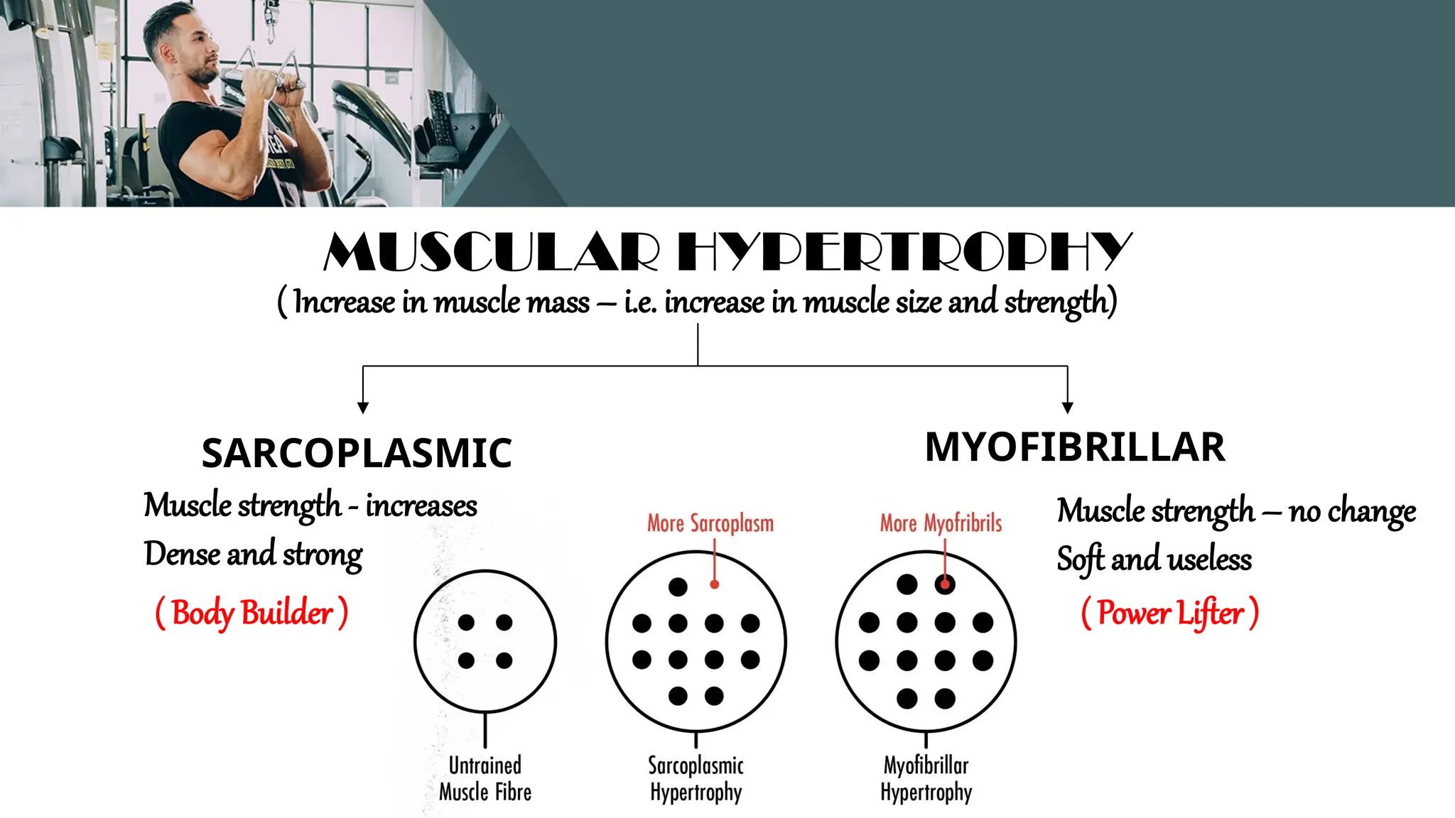 Effects on Musculosketelal System on yoga.pptx