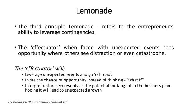 Effectuation presentation gc20151210 (4)