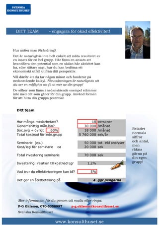 Effektivisera Teamet | PDF | Business | Business and Finance