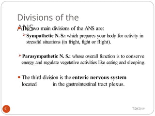 EFFERENT NERVOUS SYSTEM (ANS & MOTOR) (1) (1).pptx