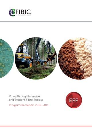 FIBIC EffFibre programme report | PDF
