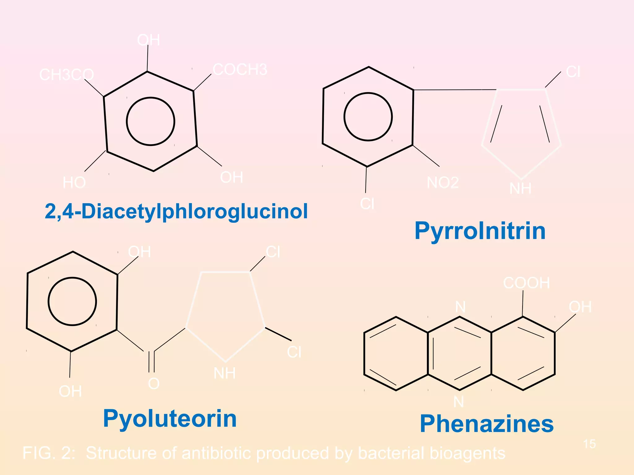 Efficacy of bacterial bioagents in the management of plant diseases | PPT
