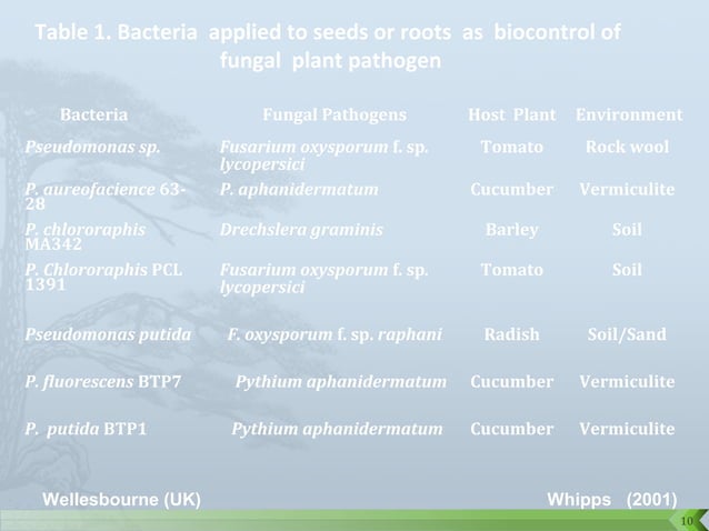 Efficacy of bacterial bioagents in the management of plant diseases | PPT | Gardening | Home ...