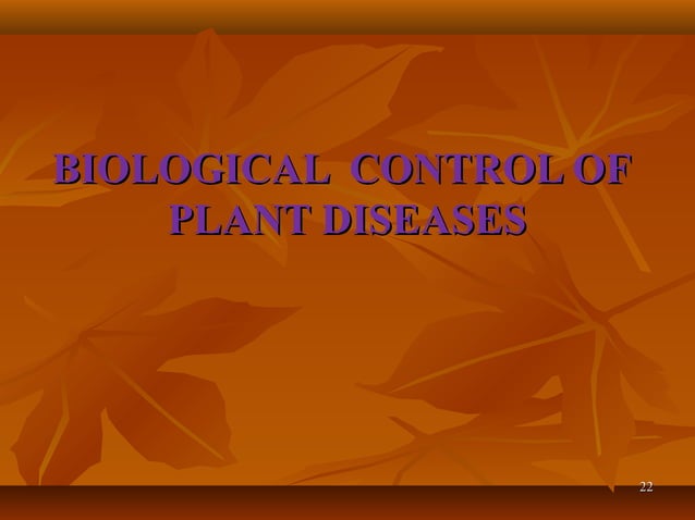 Efficacy of bacterial bioagents in the management of plant diseases | PPT | Gardening | Home ...
