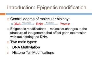 Efficacy of epigenetic therapy as cancer treatment | PPTX