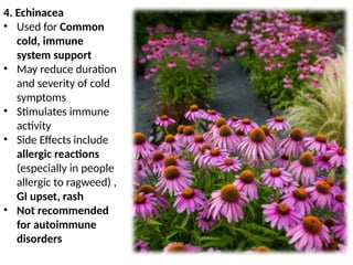 efficacy_of_herbal_medicine .pptx