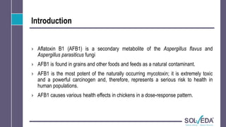 Effect of N-acetylcysteine on AFBA | PPT
