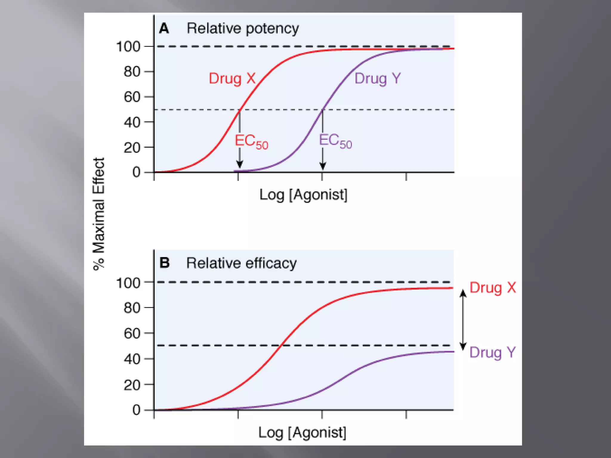 Efficacy and Potency of drug | PPT