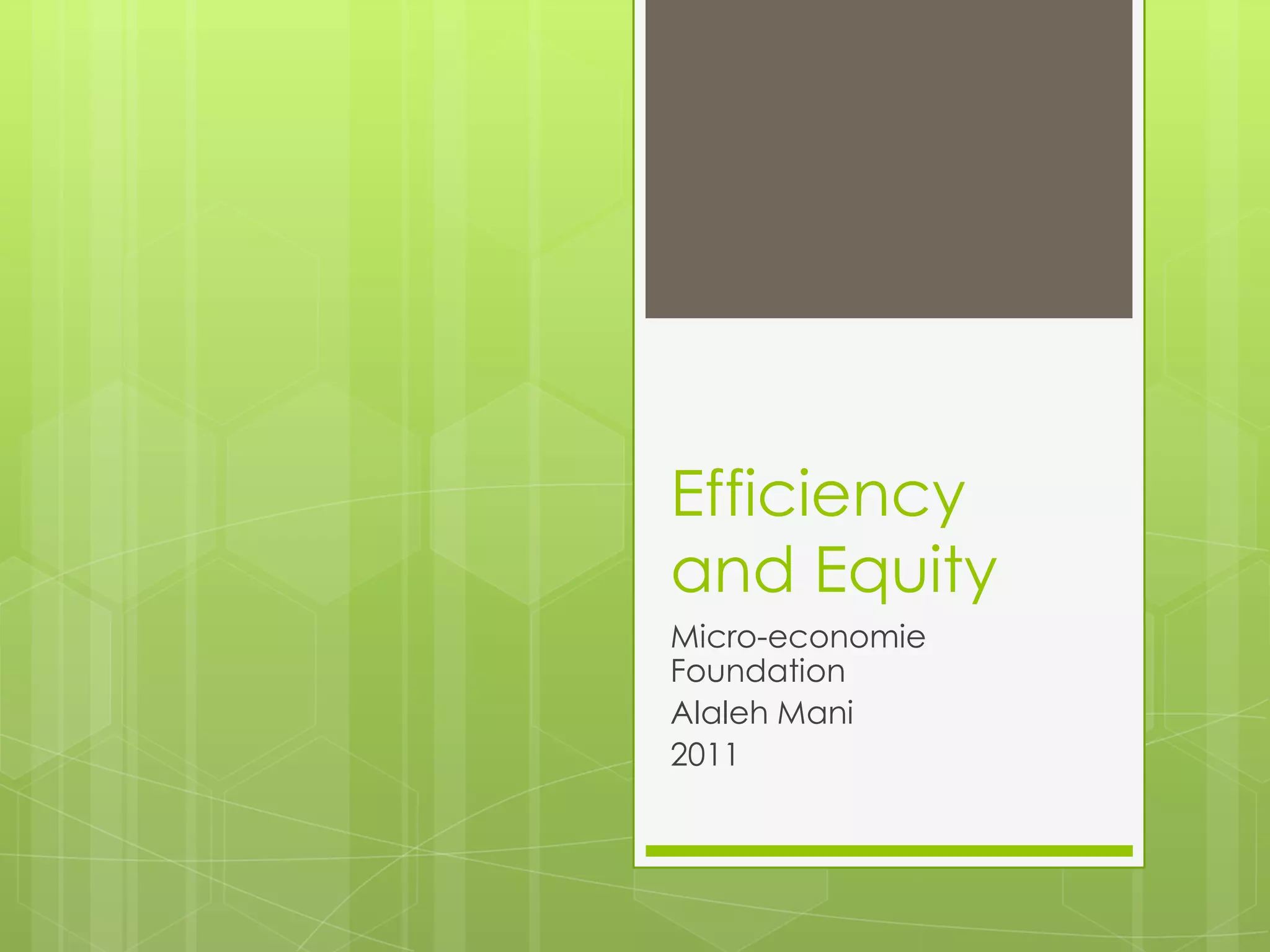 Efficiency and equity | PPSX