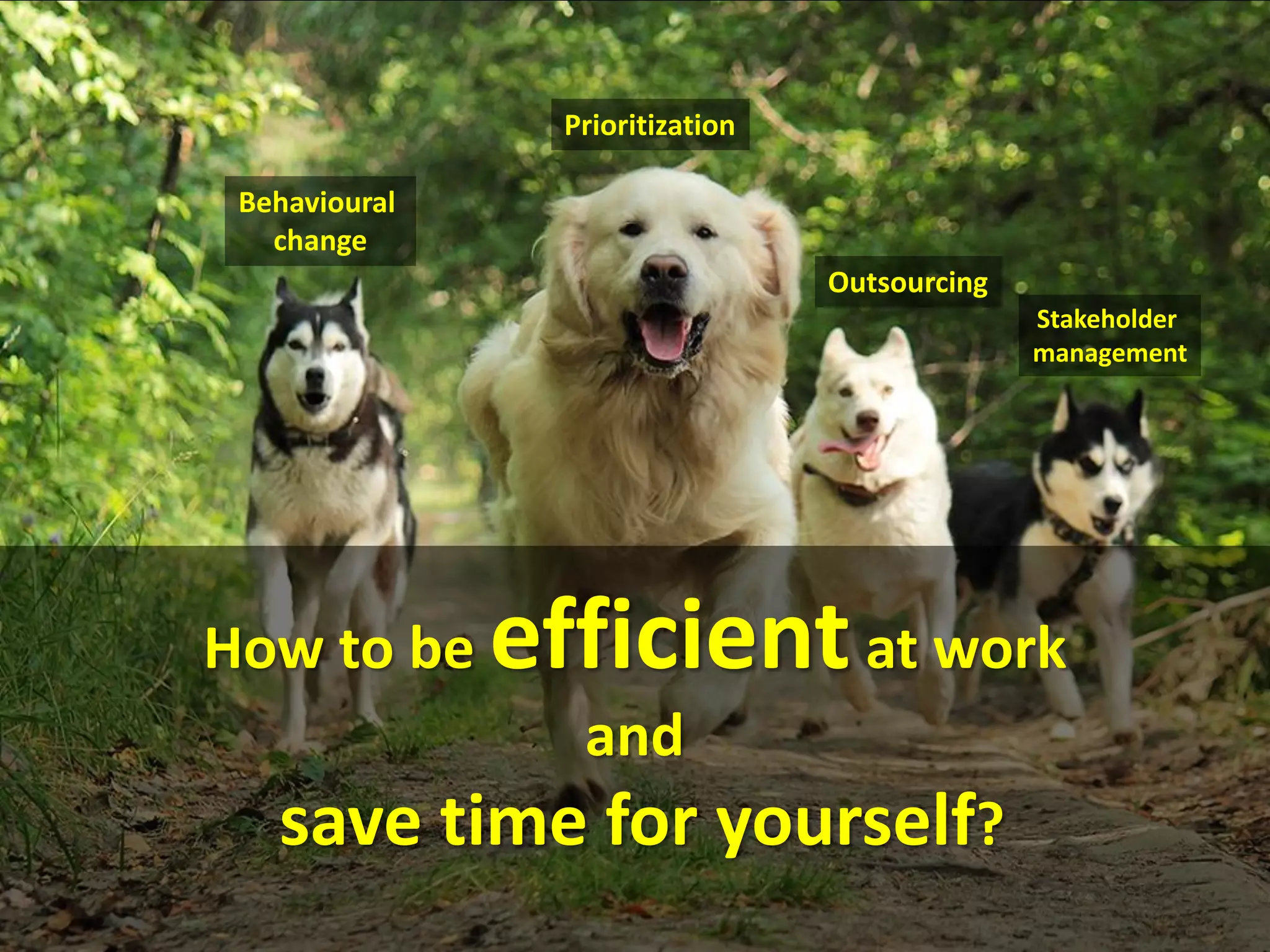 Efficiency at work | PDF