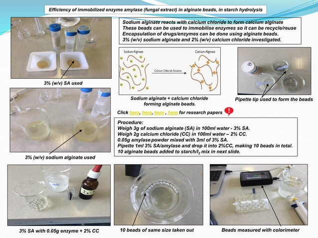 IA on efficiency of immobilized enzyme amylase (fungal extract) in ...