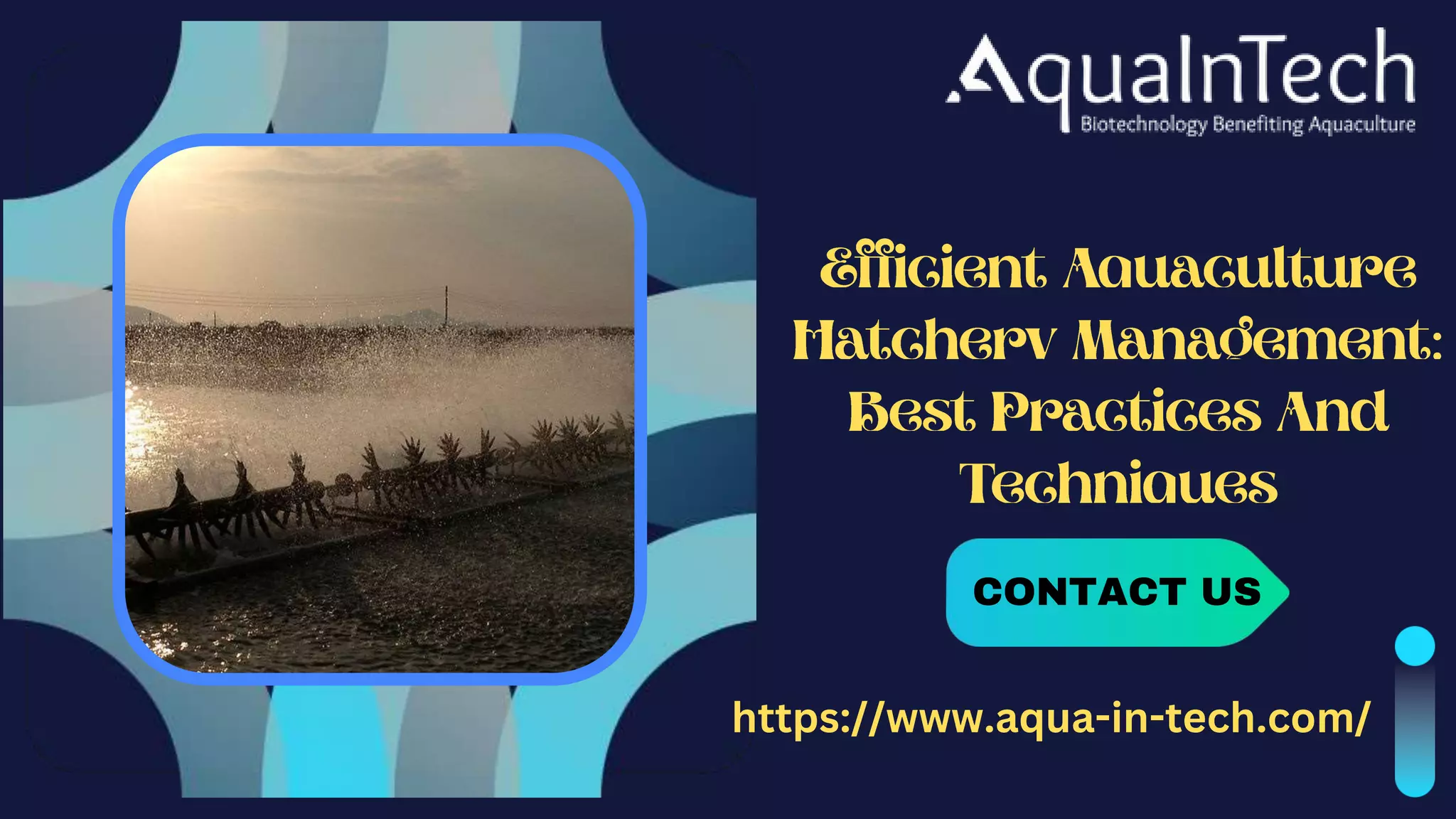 Efficient Aquaculture Hatchery Management: Best Practices And ...