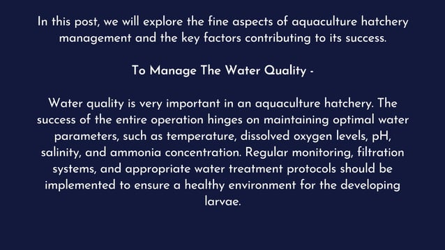 Efficient Aquaculture Hatchery Management: Best Practices And ...