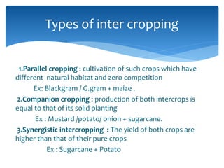 Efficient crops and cropping systems in dry land agriculture | PPTX