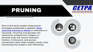 Efficient Deep Learning Exploring the Power of Model Compression.pptx