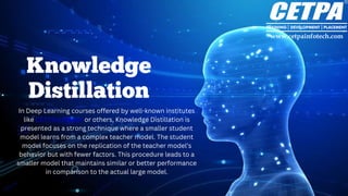 Efficient Deep Learning Exploring the Power of Model Compression.pptx