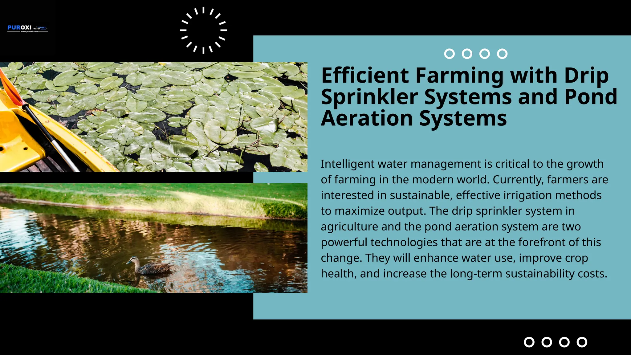 Efficient Farming with Drip Sprinkler Systems and Pond Aeration Systems ...