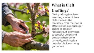 Efficient Grafting Techniques Cleft, Saddle, and Marcotting Procedures ...