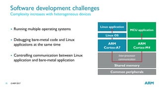 Efficient software development with heterogeneous devices | PPT