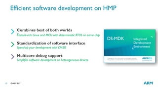Efficient software development with heterogeneous devices | PPT