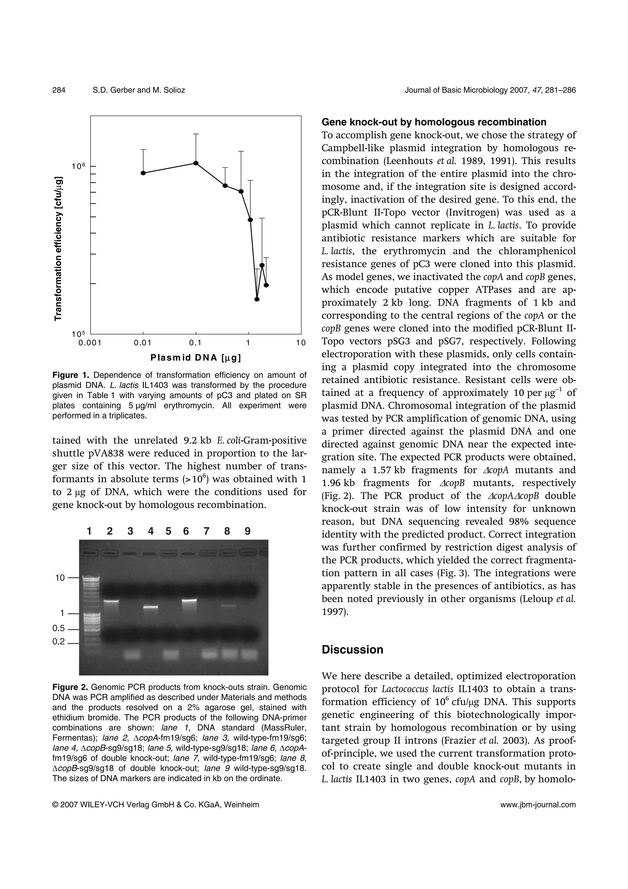 Efficient transformation of lactococcus lactis il1403 and generation of knock out mutants by ...